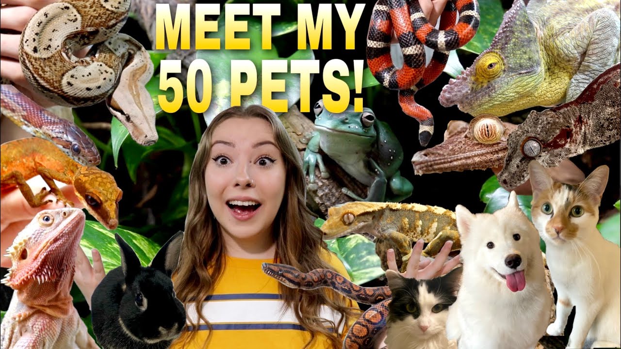 Meet All Of My Pets! 50+ Animals! - smallumovie