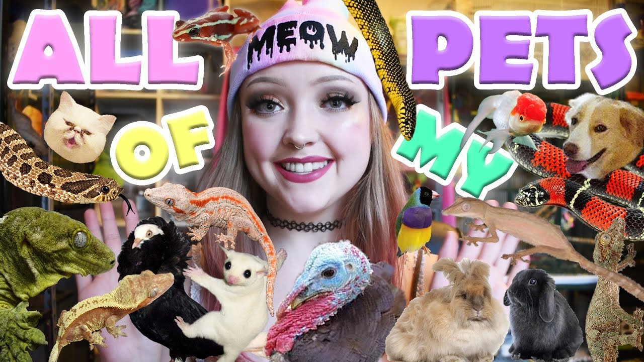 ALL OF MY PETS! 100+! - smallumovie